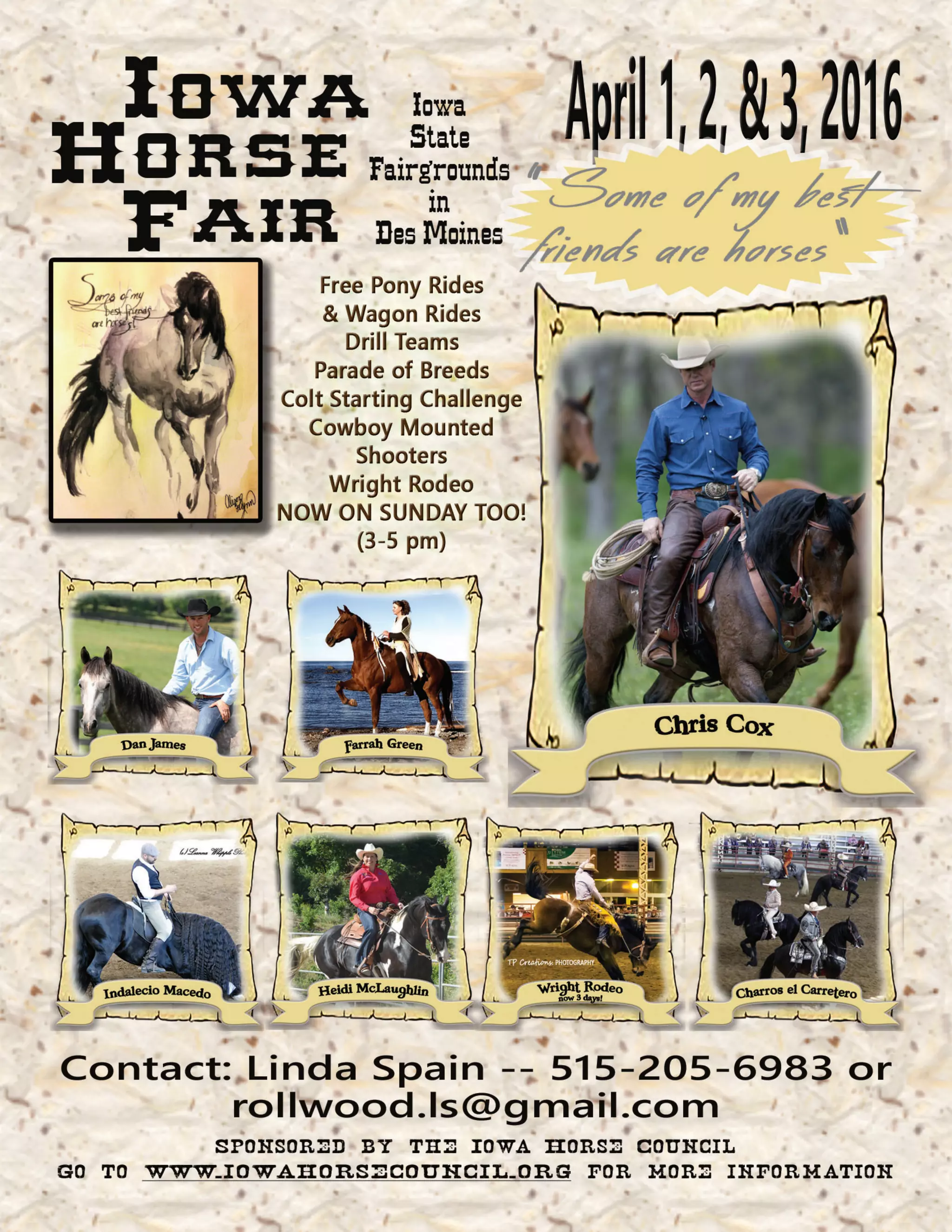 2016 horse-fair | PDF | Equine Sports | Sports