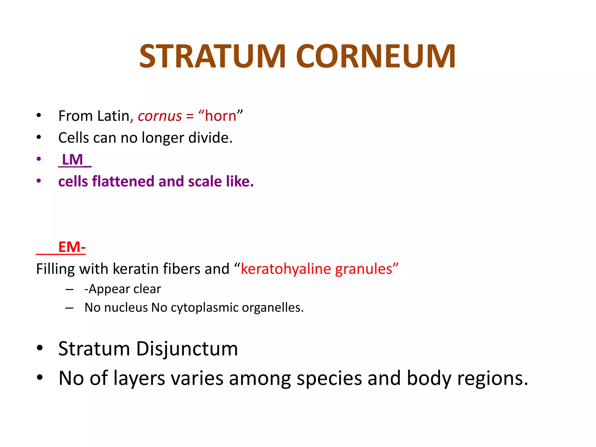 histology of skin ppt | PDF