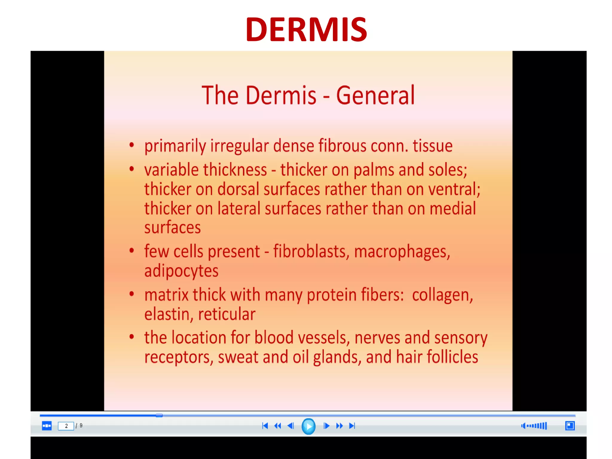 histology of skin ppt | PDF