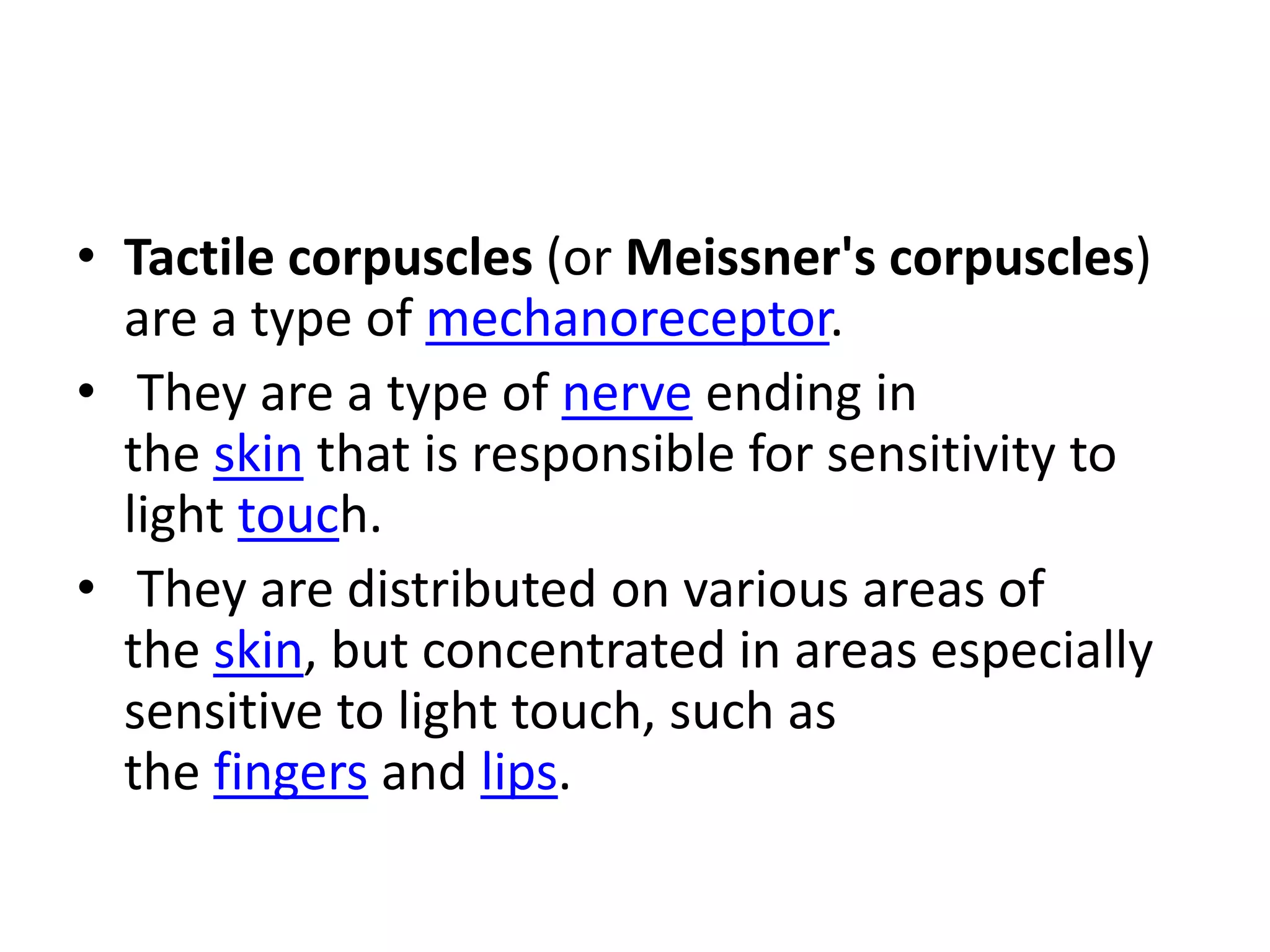 histology of skin ppt | PDF