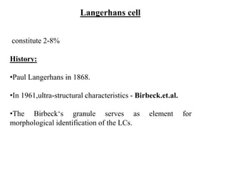 histology of skin ppt | PDF