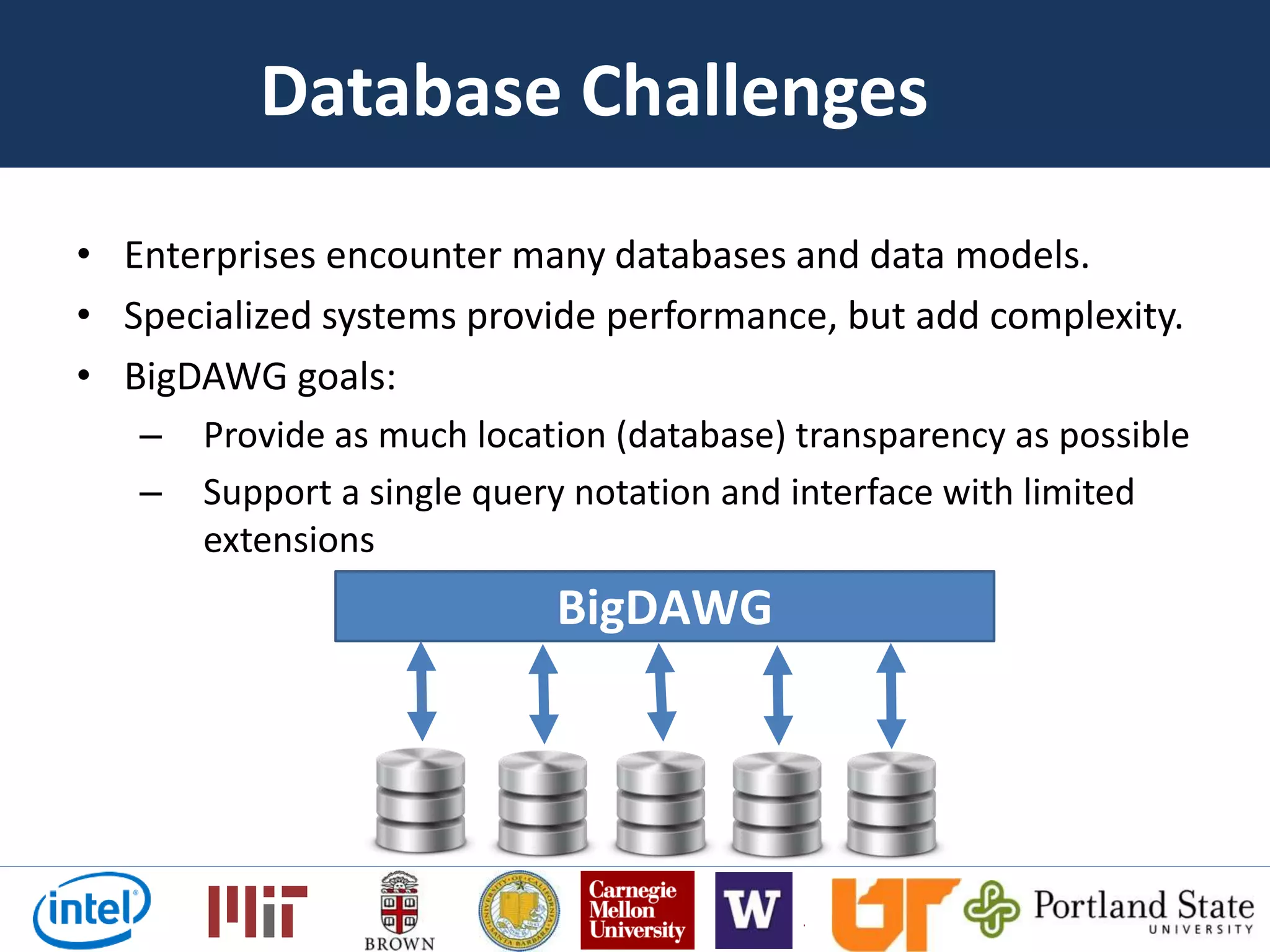 bigdawg overview | PPTX