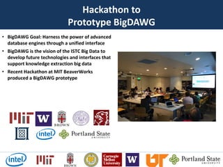 bigdawg overview | PPTX