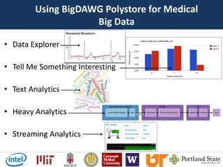 bigdawg overview | PPTX