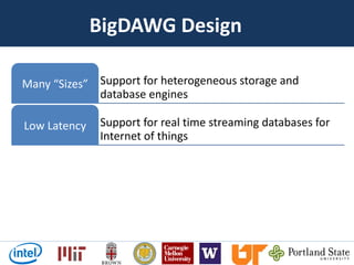 bigdawg overview | PPTX