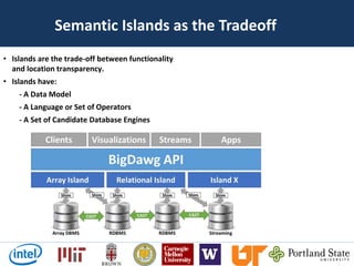 bigdawg overview | PPTX