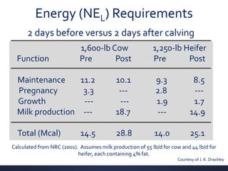 Hyperketonemia Treatment at the Individual Cow and Herd Level | PPTX
