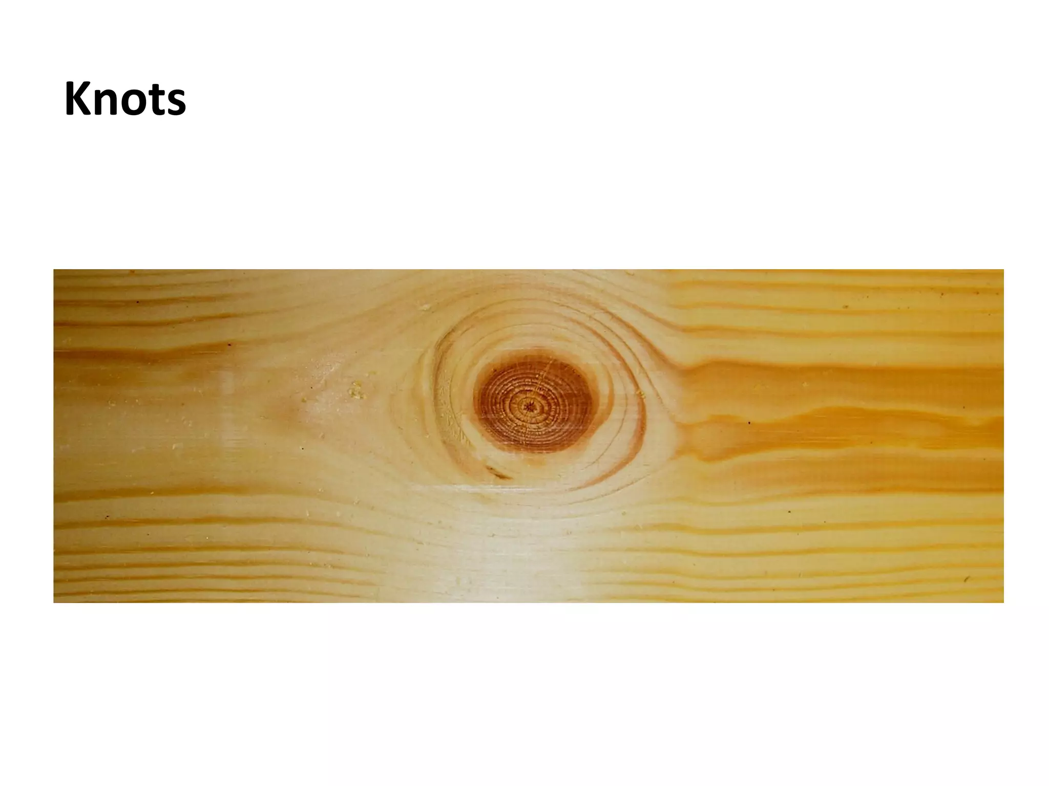 Wood anatomy and structure , wood and its products | PDF