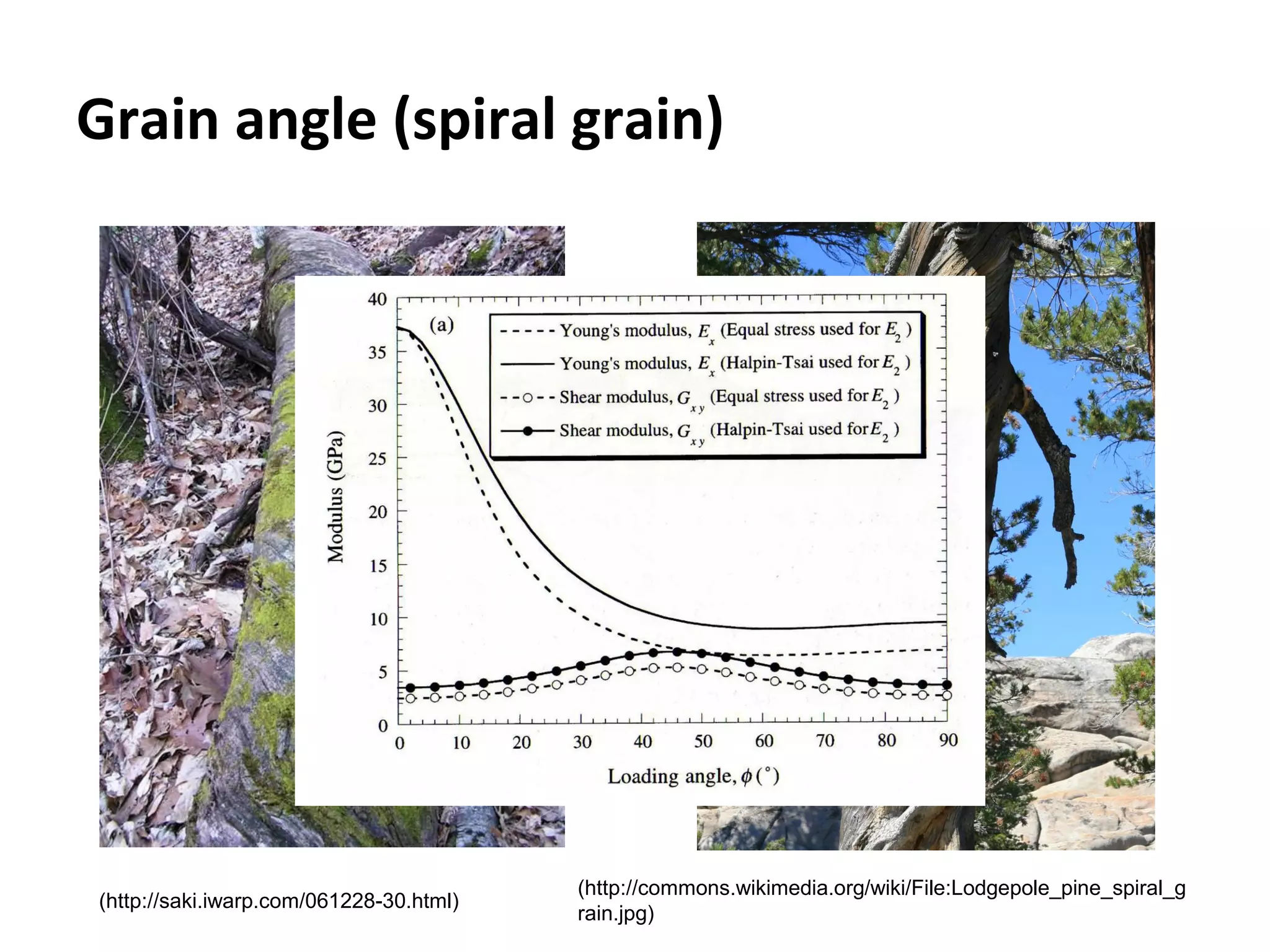 Wood anatomy and structure , wood and its products | PDF