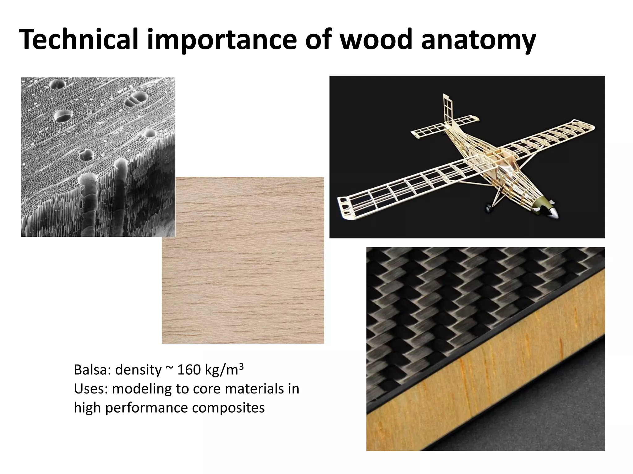 Wood anatomy and structure , wood and its products | PDF