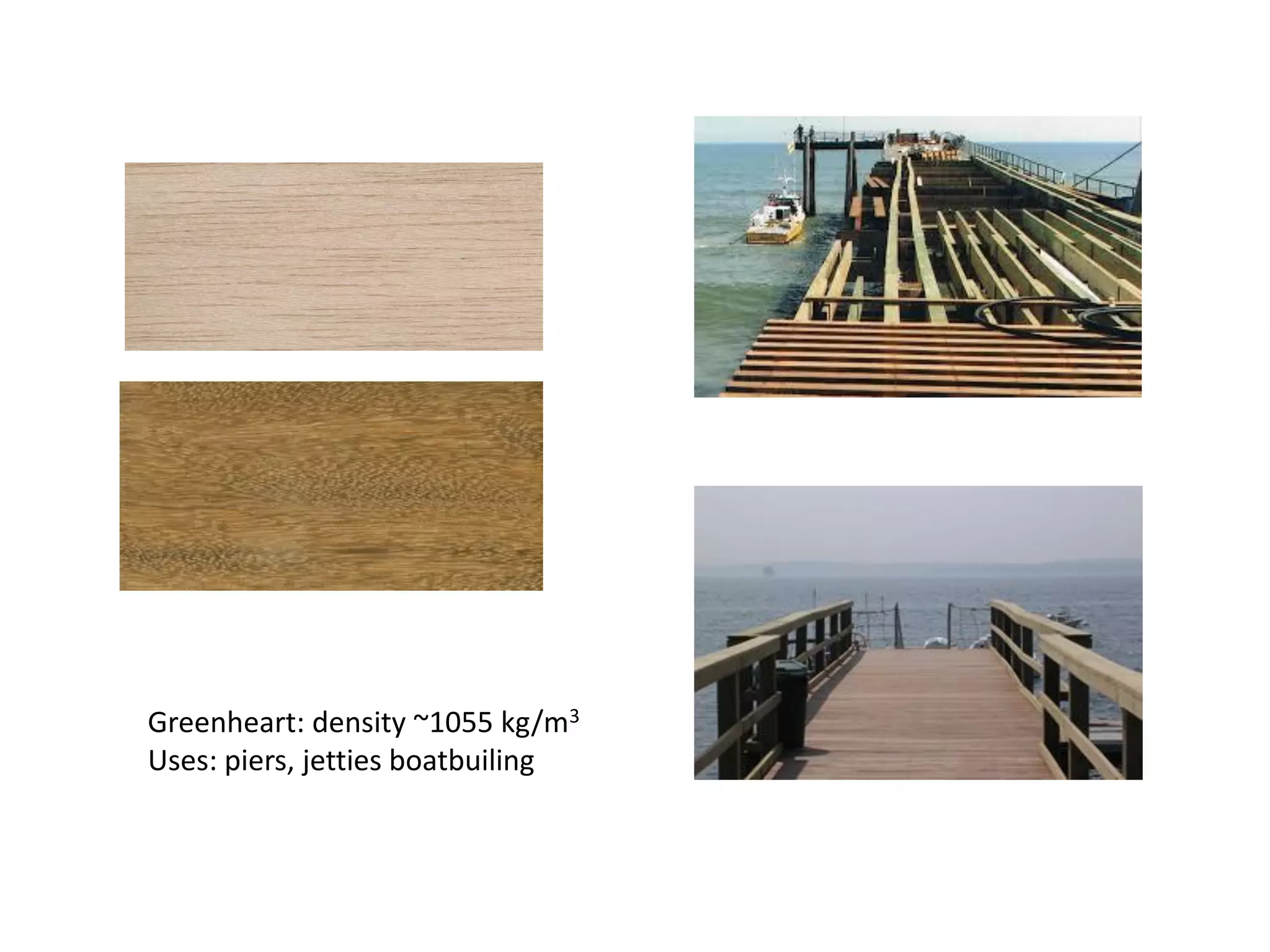 Wood anatomy and structure , wood and its products | PDF