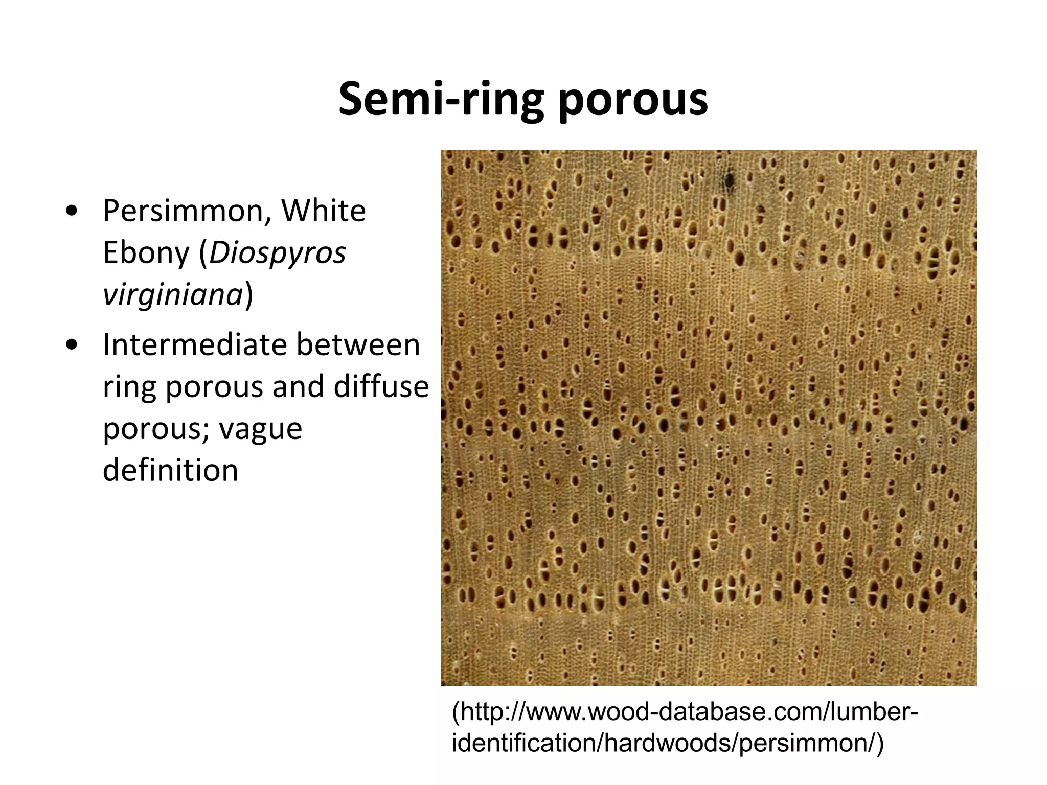 Wood anatomy and structure , wood and its products | PDF