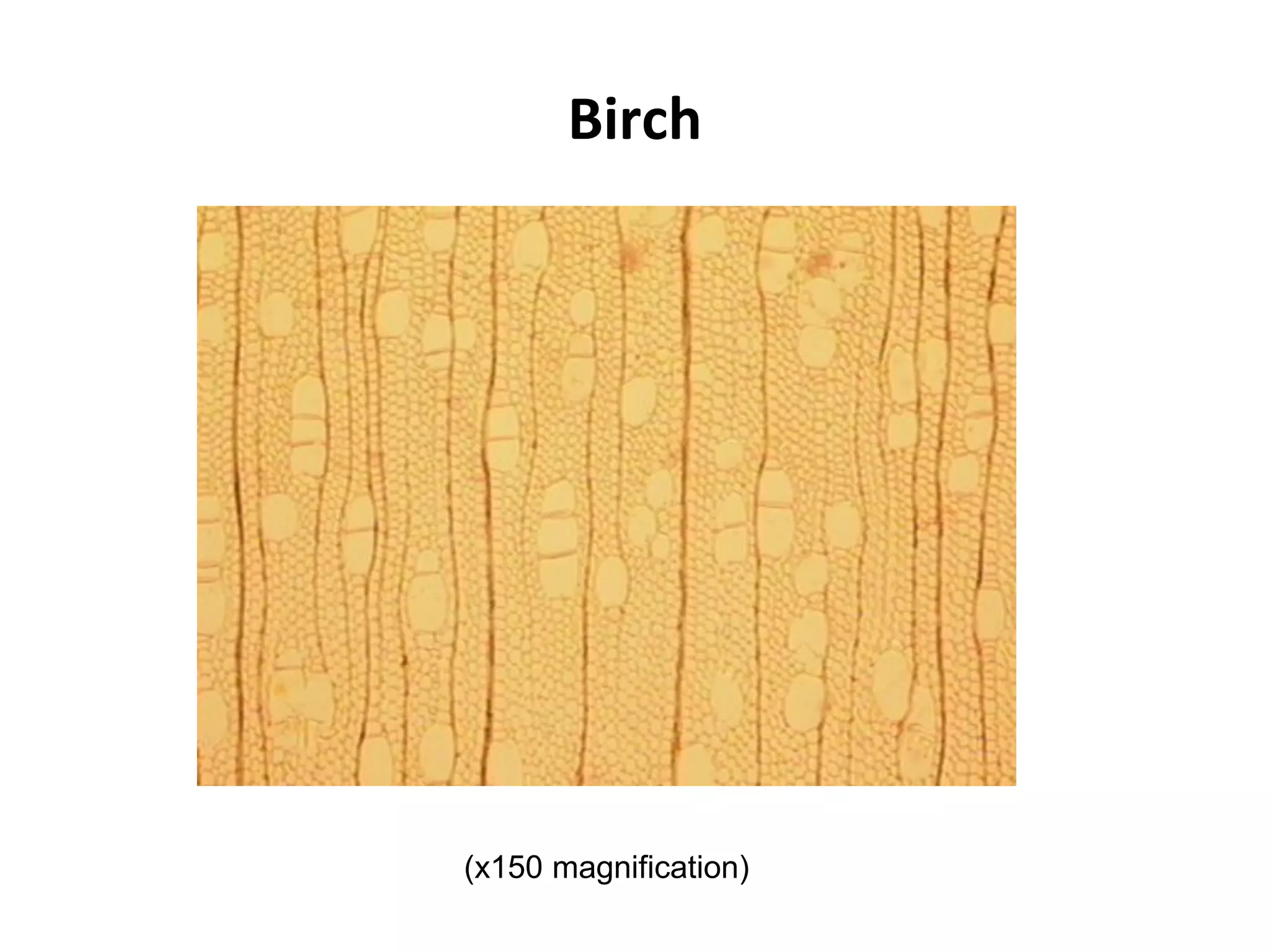 Wood anatomy and structure , wood and its products | PDF