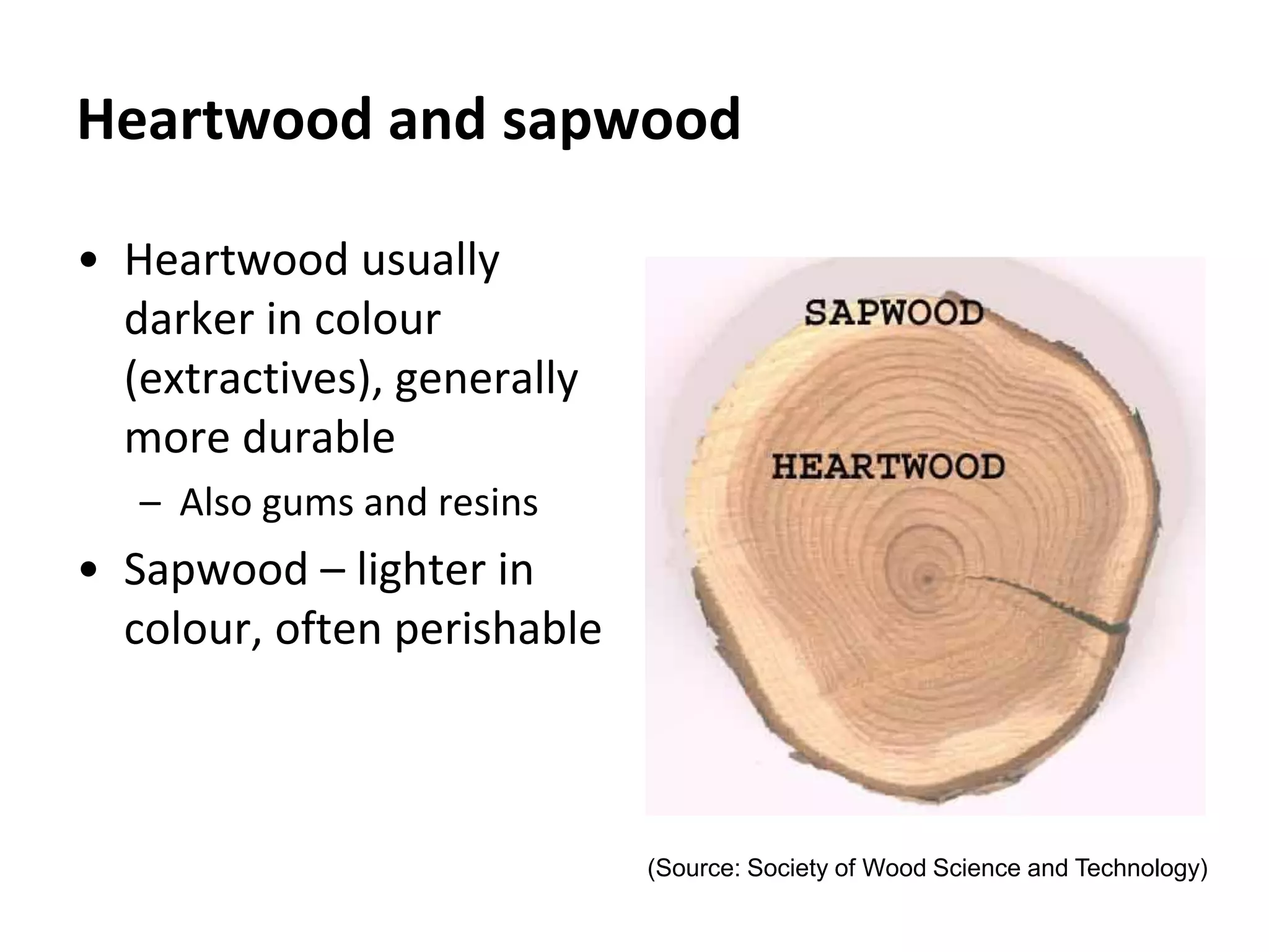 Wood anatomy and structure , wood and its products | PDF