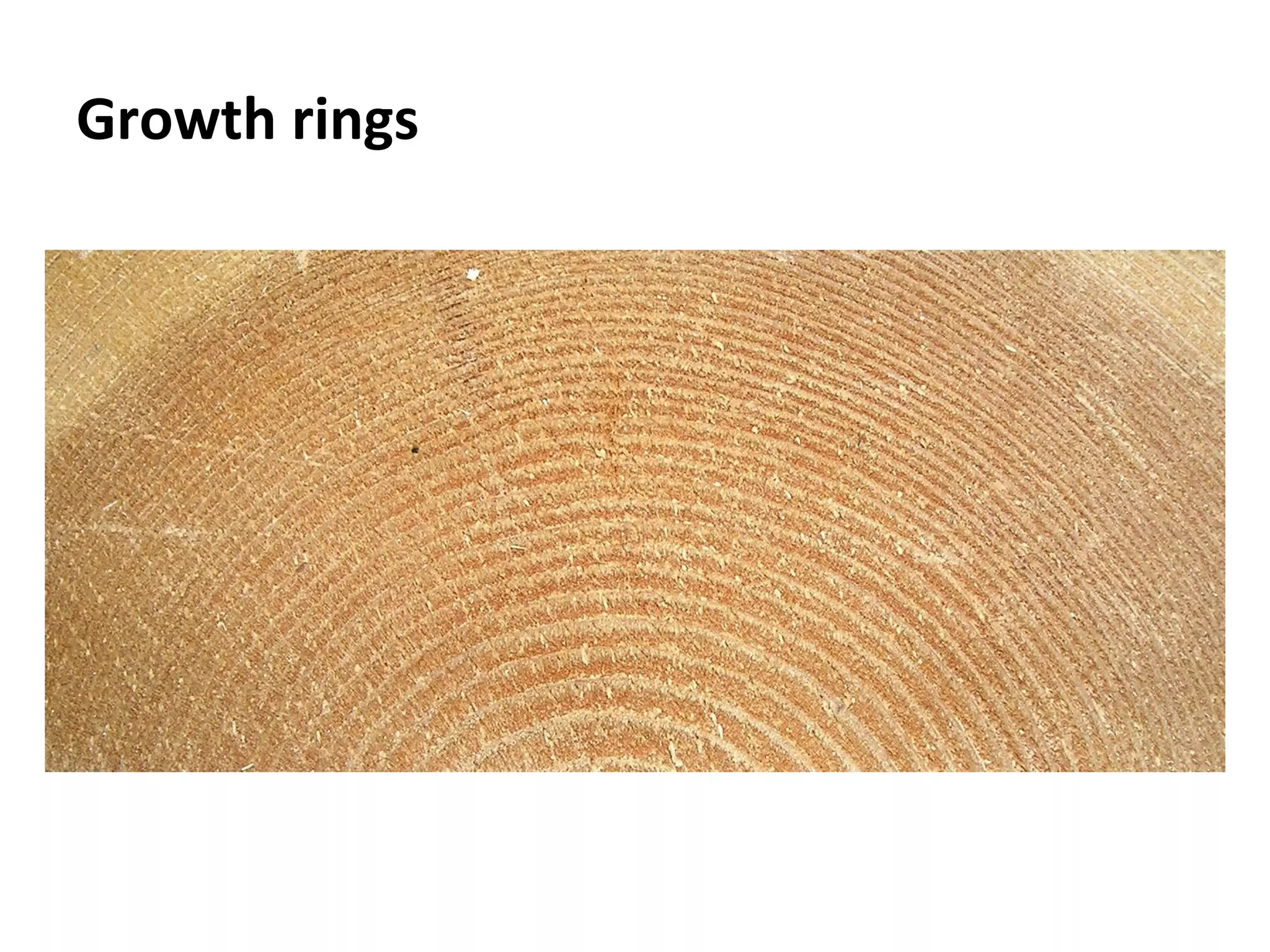 Wood anatomy and structure , wood and its products | PDF