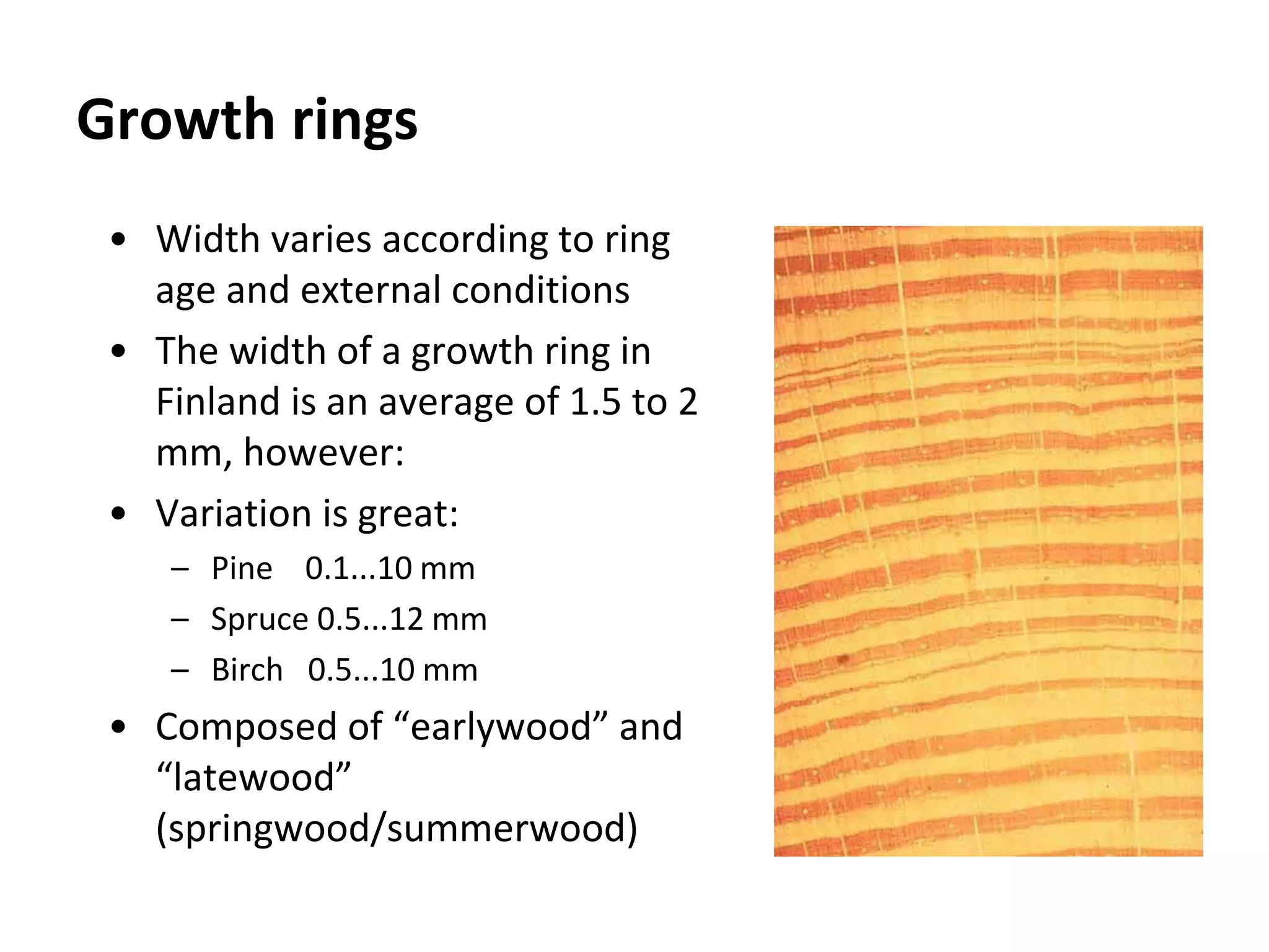 Wood anatomy and structure , wood and its products | PDF