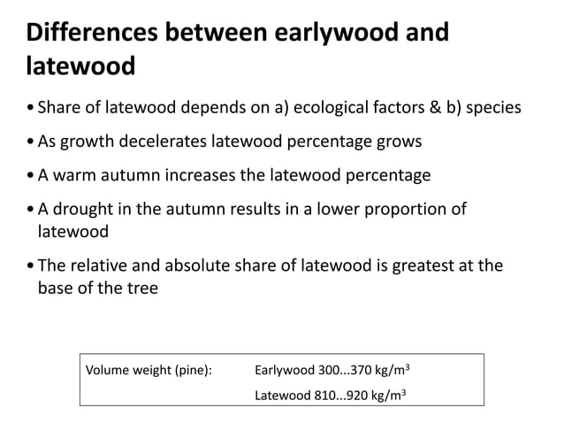 Wood anatomy and structure , wood and its products | PDF | Woodworking ...