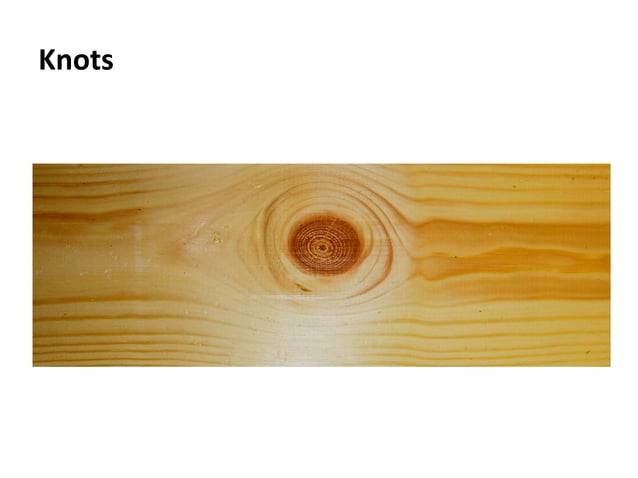Wood anatomy and structure , wood and its products | PDF | Woodworking ...