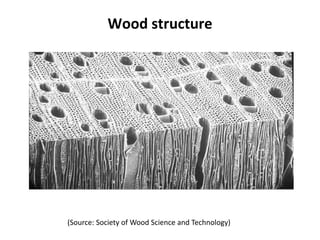 Wood anatomy and structure , wood and its products | PDF