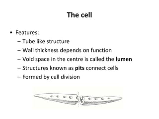 Wood anatomy and structure , wood and its products | PDF