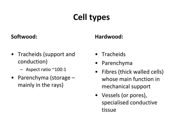 Wood anatomy and structure , wood and its products | PDF | Woodworking ...
