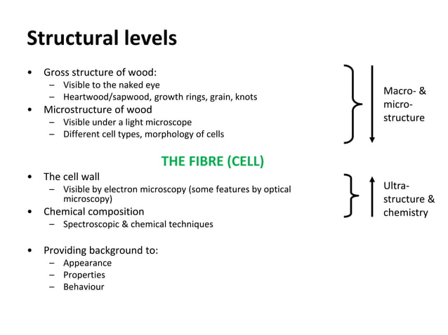 Wood anatomy and structure , wood and its products | PDF | Woodworking ...