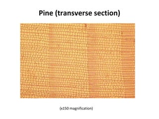 Wood anatomy and structure , wood and its products | PDF