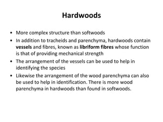 Wood anatomy and structure , wood and its products | PDF