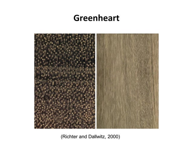 Wood anatomy and structure , wood and its products | PDF | Woodworking ...