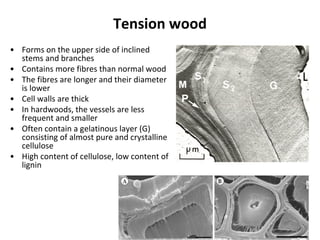 Wood anatomy and structure , wood and its products | PDF
