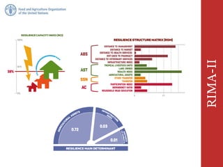Resilience Index Measurement and Analysis (RIMA) | PPTX