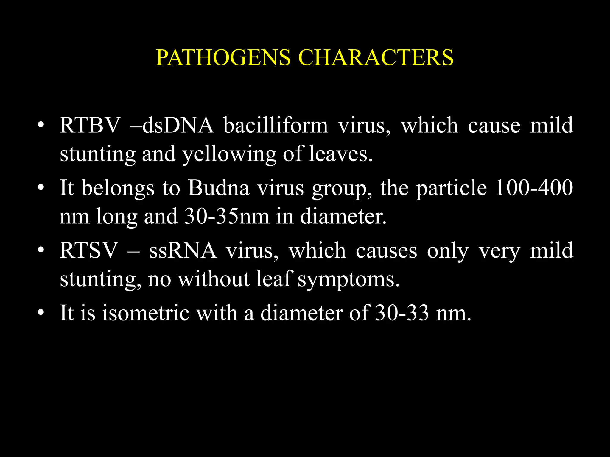 RICE TUNGRO VIRUS | PPTX