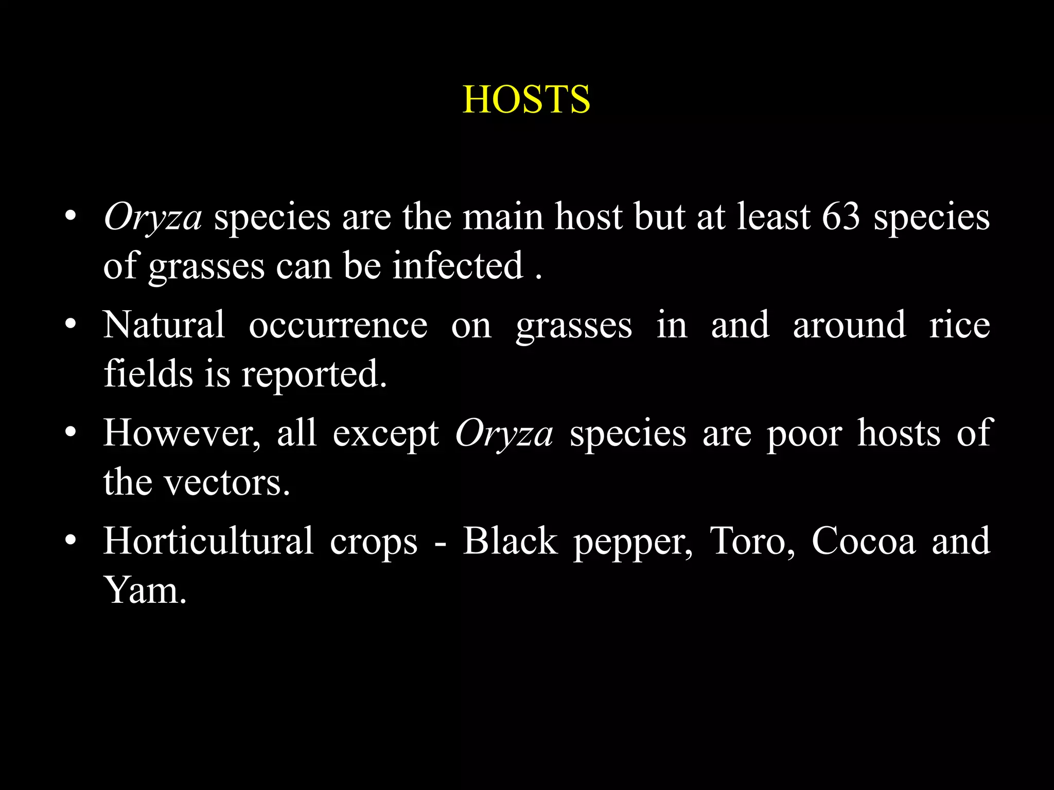 RICE TUNGRO VIRUS | PPTX