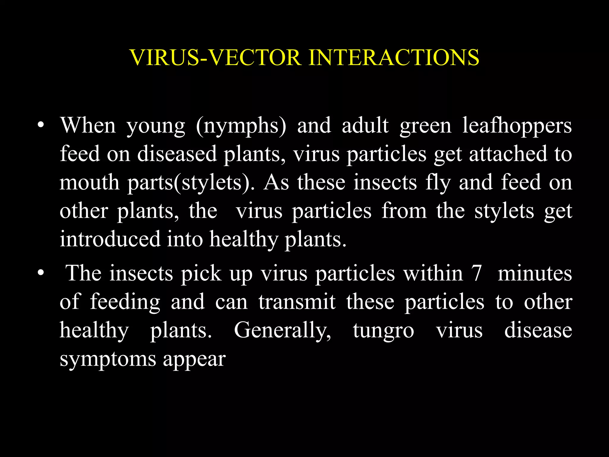 RICE TUNGRO VIRUS | PPTX