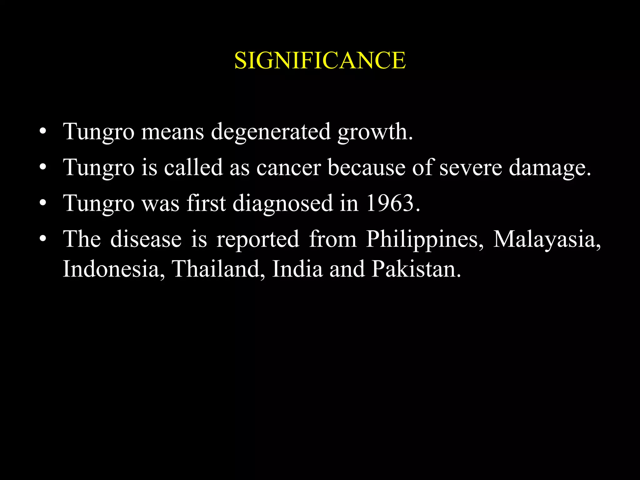 RICE TUNGRO VIRUS | PPTX