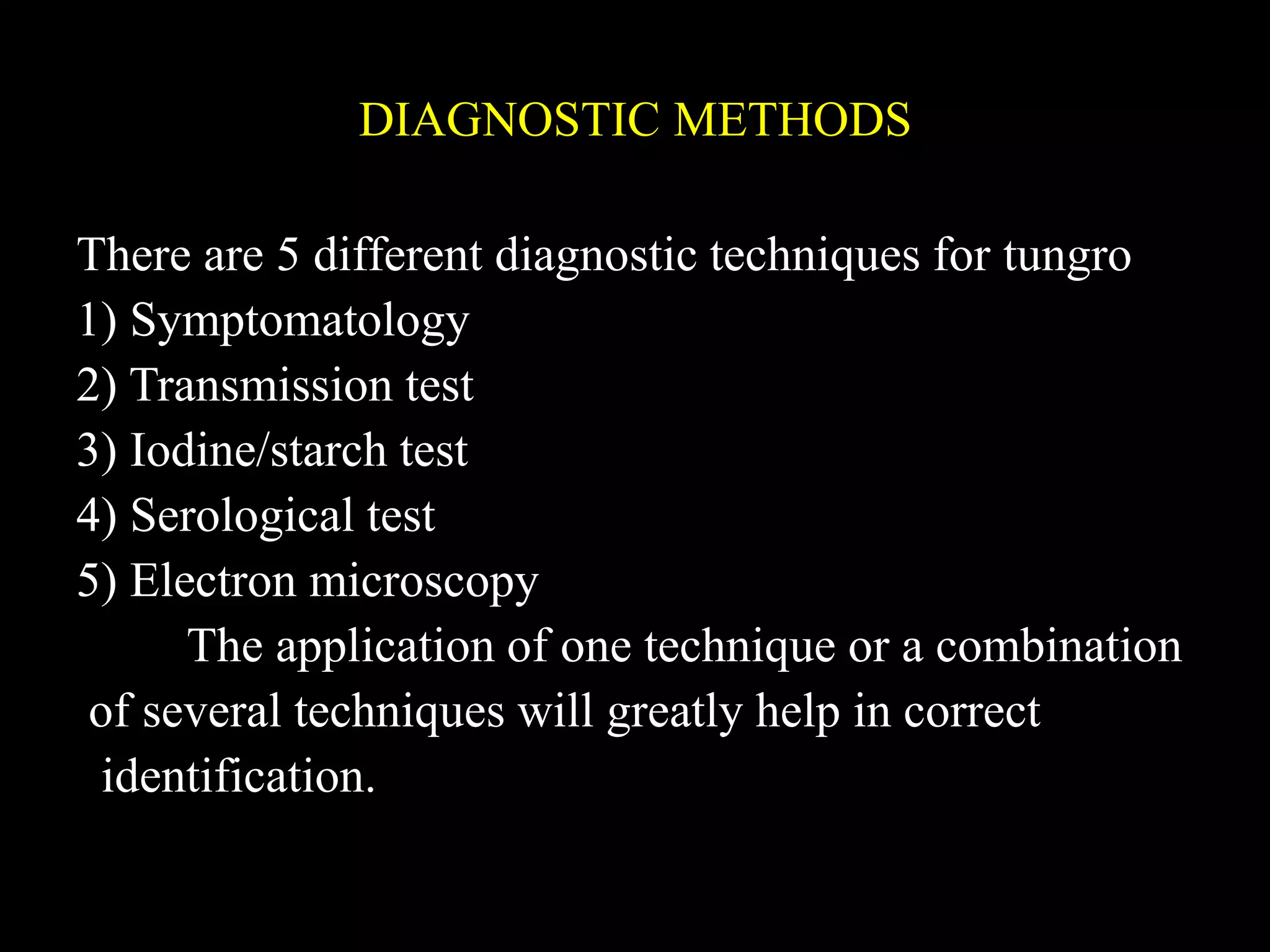 RICE TUNGRO VIRUS | PPTX