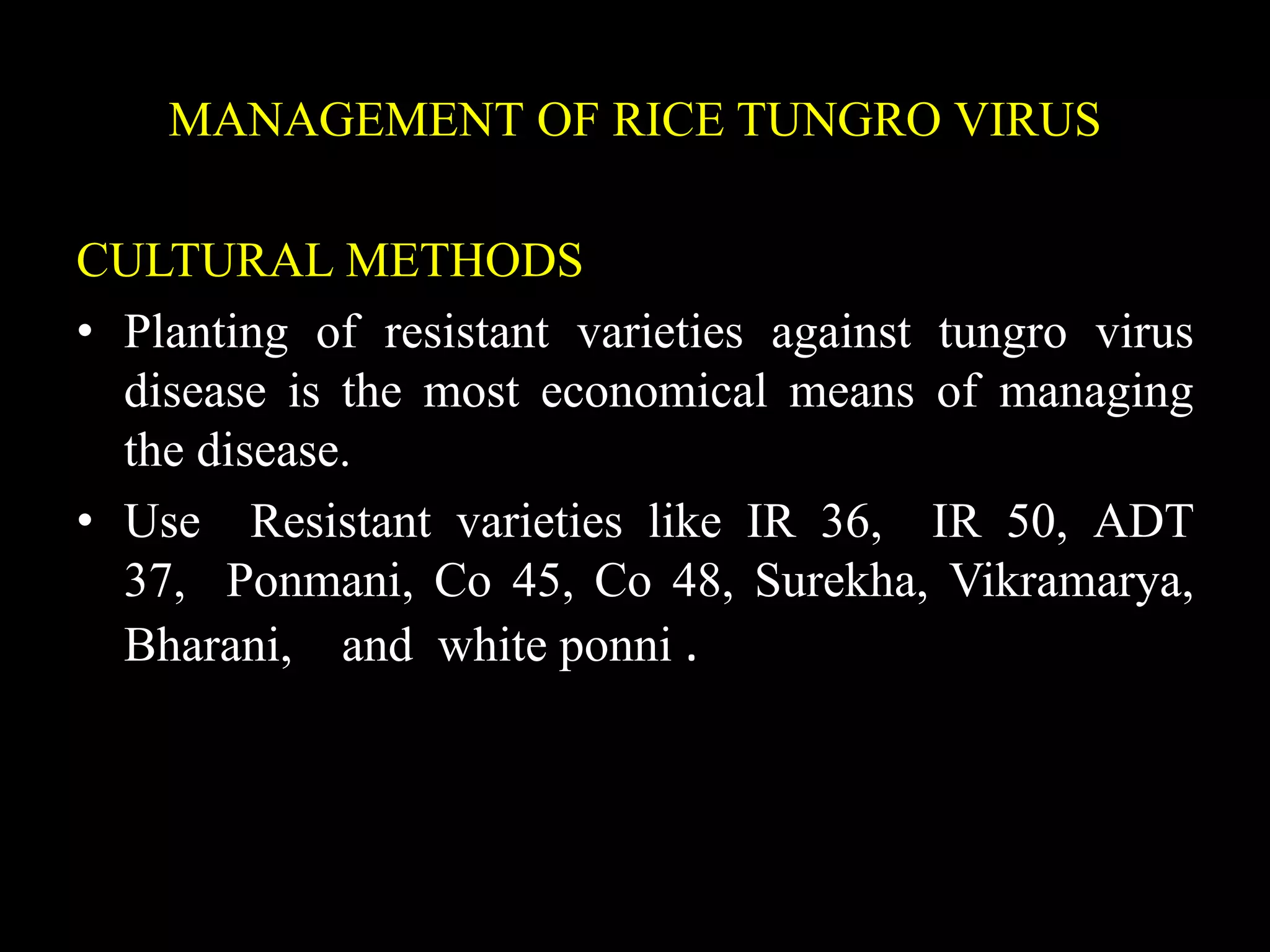 RICE TUNGRO VIRUS | PPTX