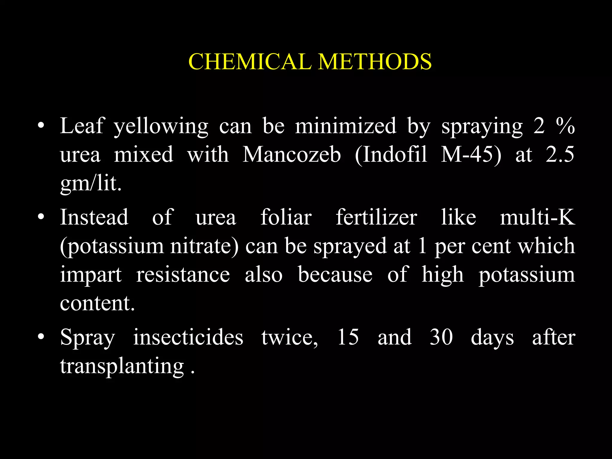 RICE TUNGRO VIRUS | PPTX