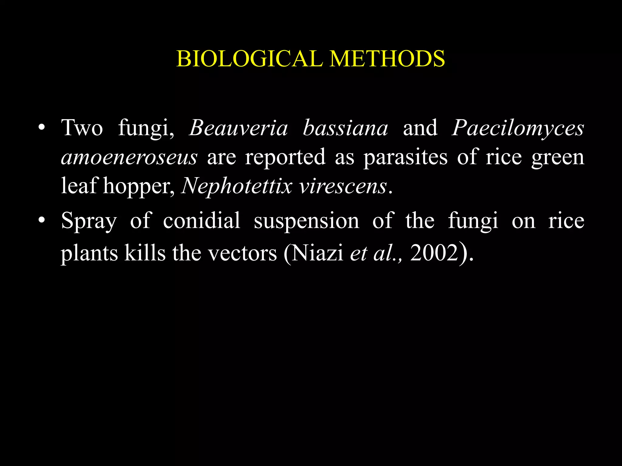 RICE TUNGRO VIRUS | PPTX