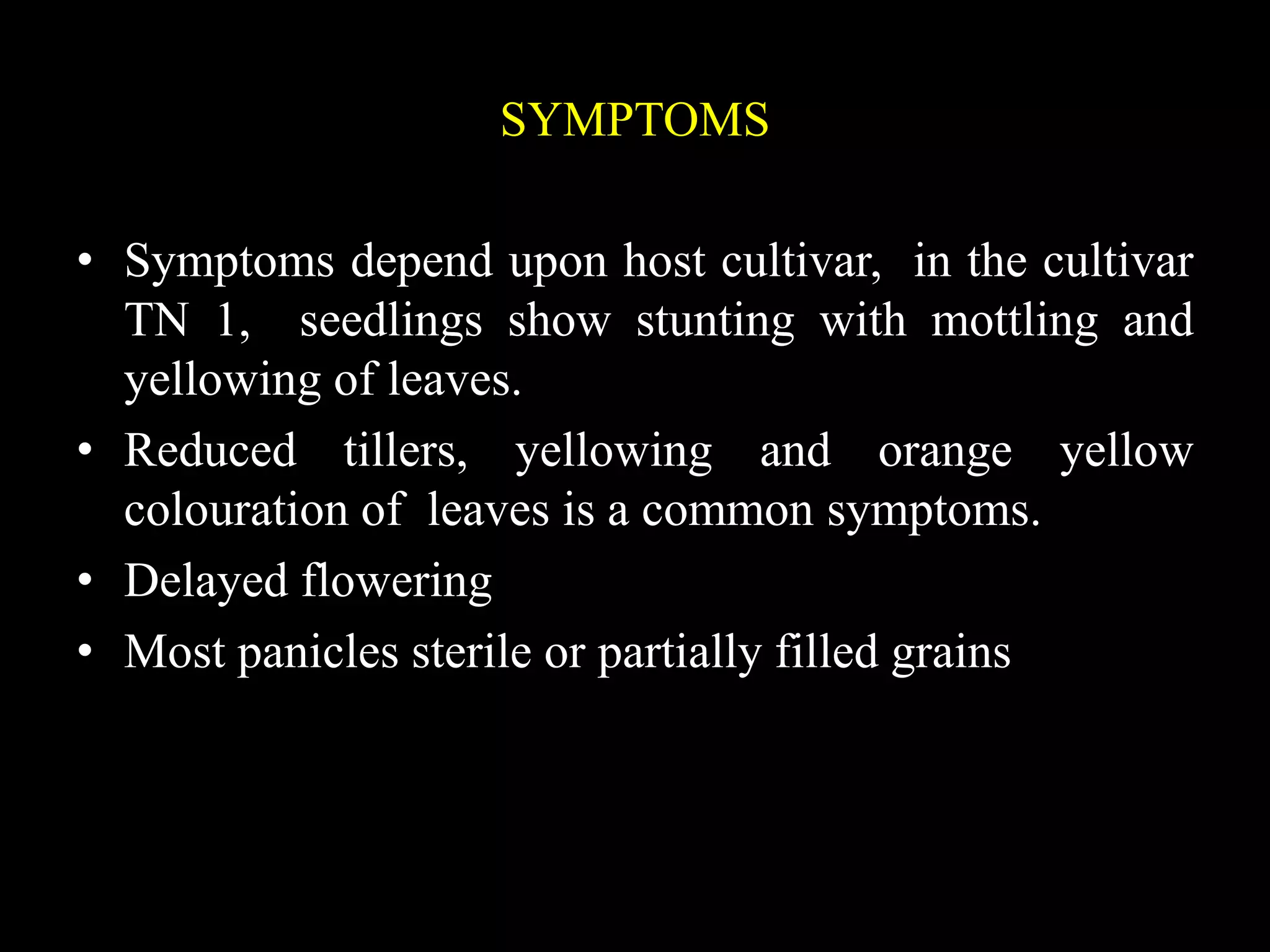 RICE TUNGRO VIRUS | PPTX