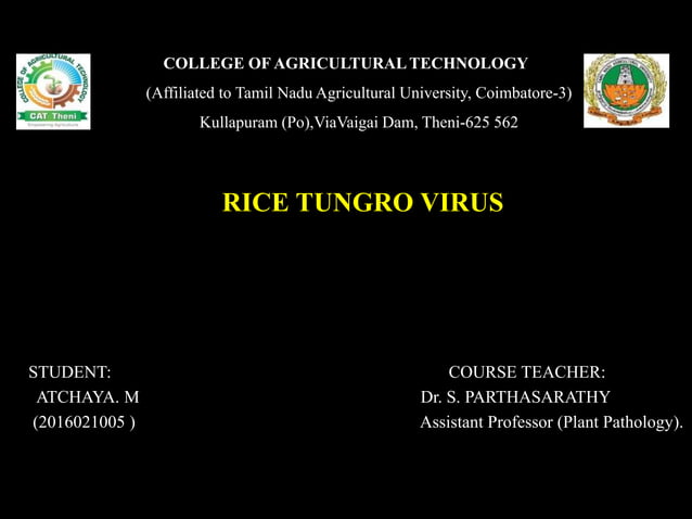 RICE TUNGRO VIRUS | PPTX