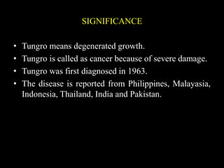 RICE TUNGRO VIRUS | PPTX