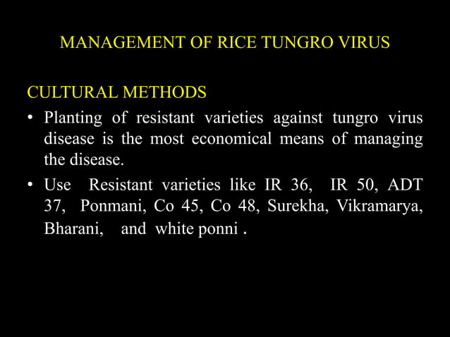 RICE TUNGRO VIRUS | PPTX
