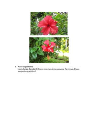 makalah dendrologi-mencandra bunga tunggal | PDF