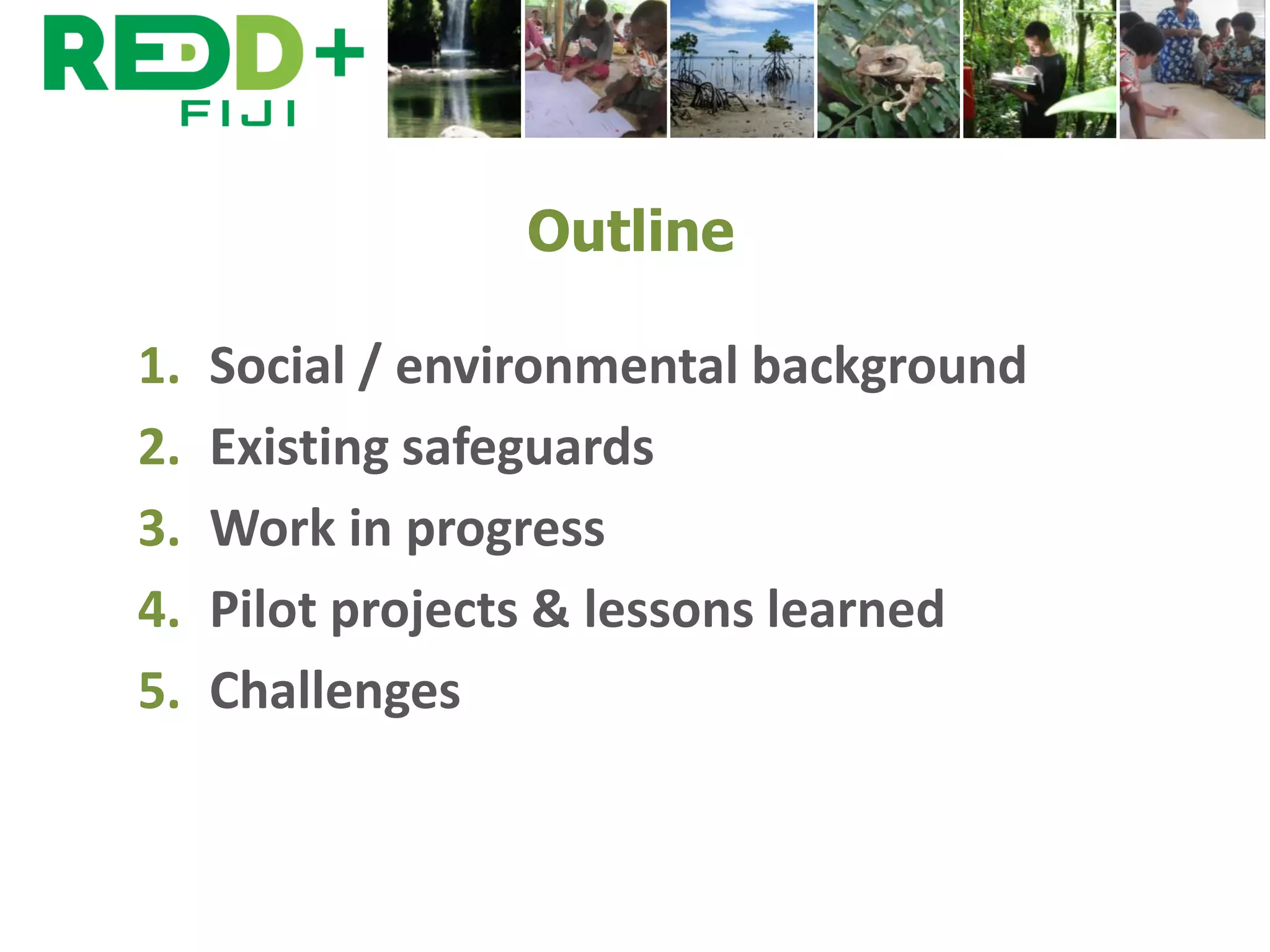 Safeguards in REDD+ implementation in Fiji | PDF