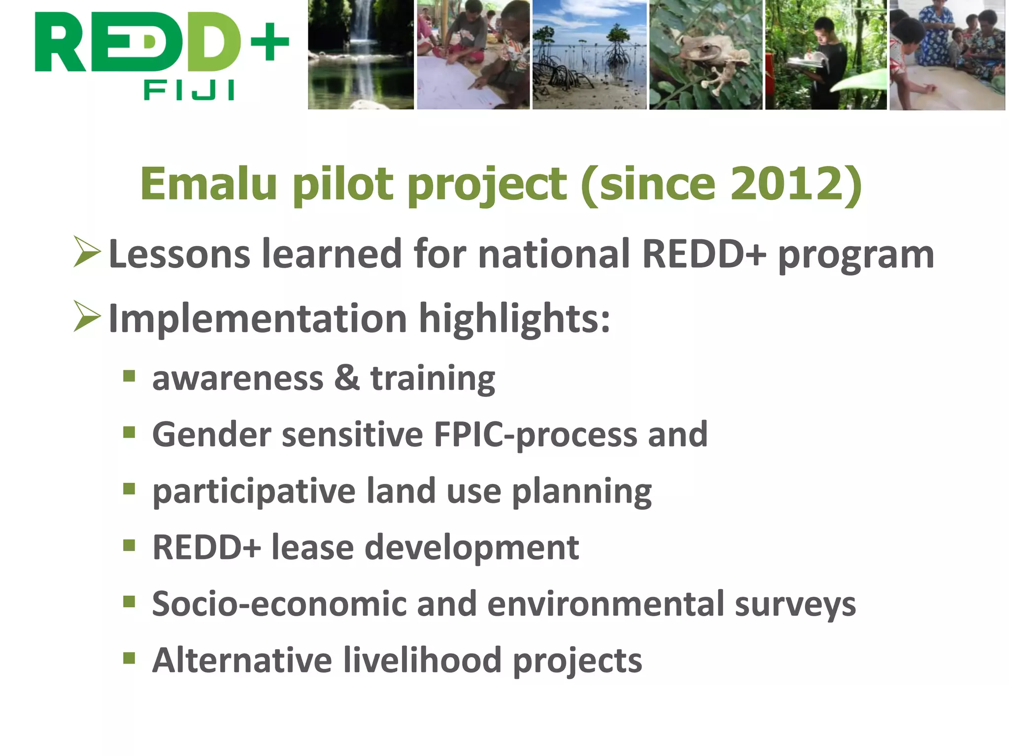 Safeguards in REDD+ implementation in Fiji | PDF