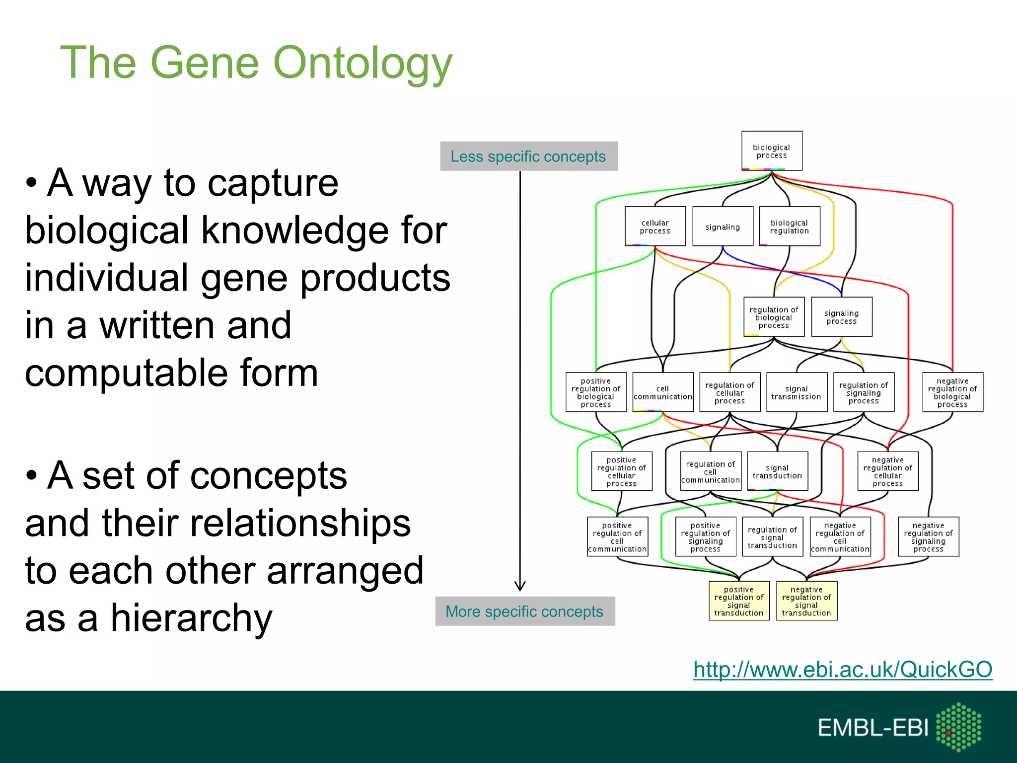 The Gene Ontology & Gene Ontology Annotation resources | PPT