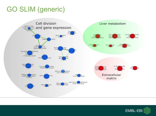 The Gene Ontology & Gene Ontology Annotation resources | PPTX ...