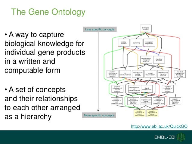 The Gene Ontology & Gene Ontology Annotation resources