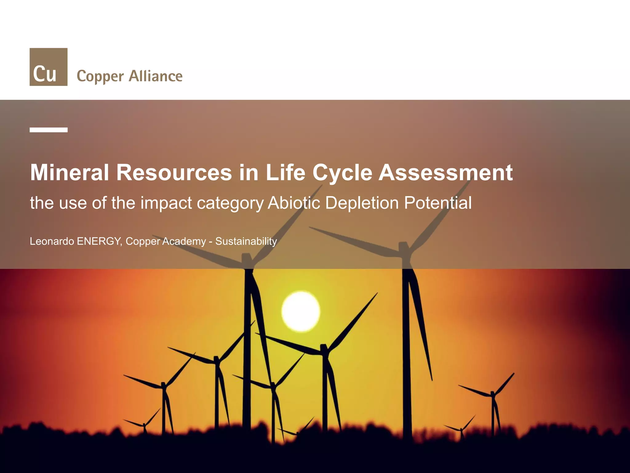 Mineral Resources in Life Cycle Assessment | PDF